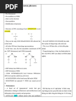 Phonetic Transcription Exercises | PDF | Linguistics | Languages