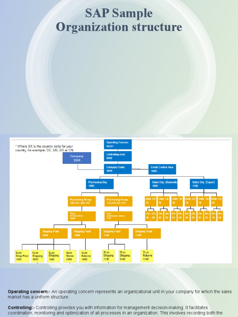 SAP Org Structure | PDF | Sales | Procurement
