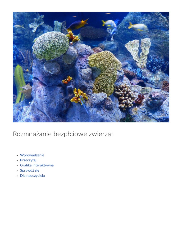 Rozmnazanie Bezplciowe Zwierzat | PDF