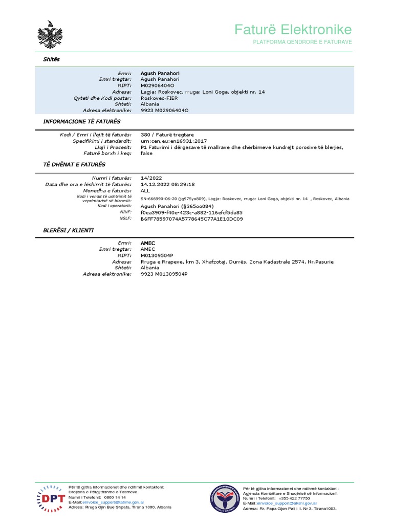 Faturë Elektronike: Shitës | PDF