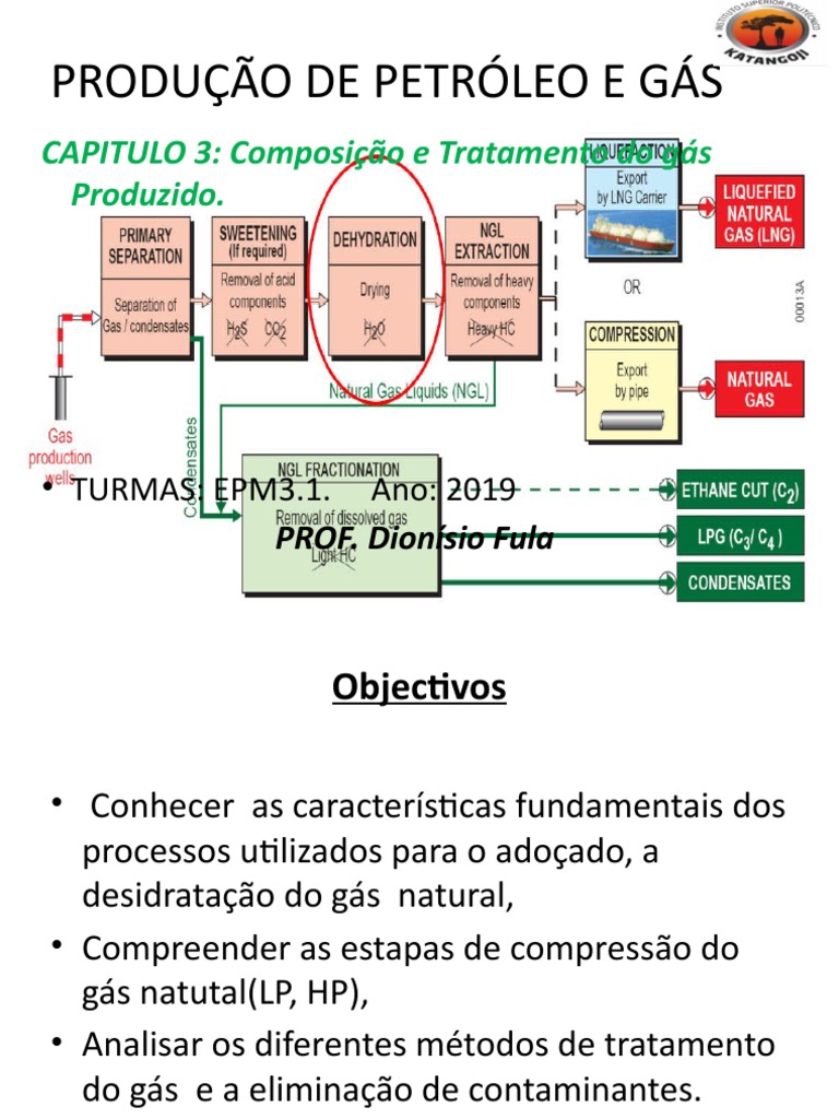 Processamento e Tratamento do Gás Natural: Métodos para Remoção de ...