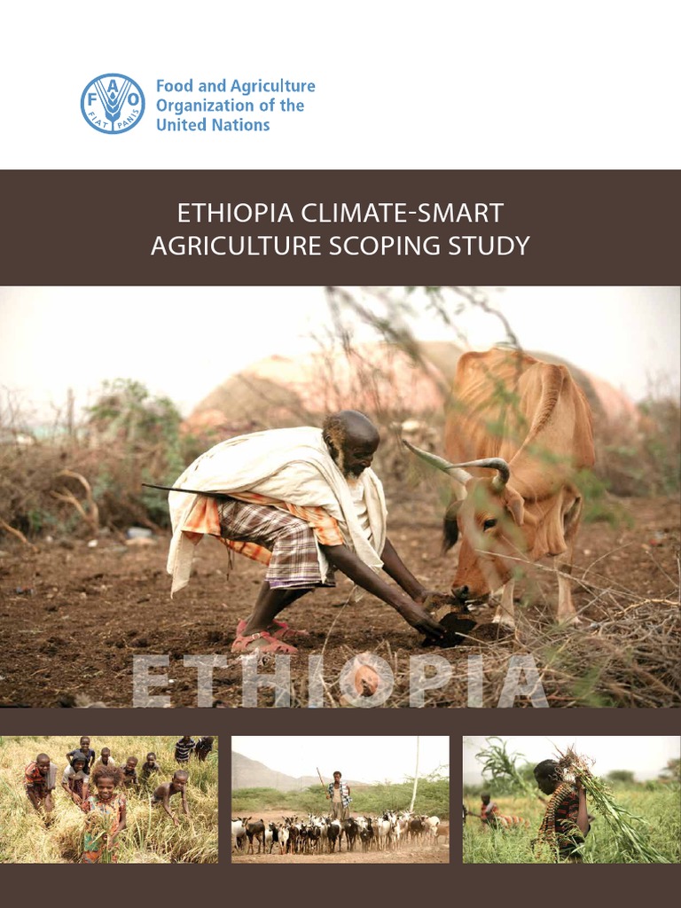Ethiopia | PDF | Agriculture | Climate Change Mitigation