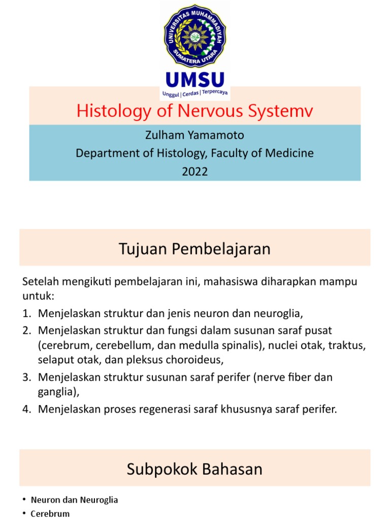 Nervous System 2022 | PDF | Axon | Neuron
