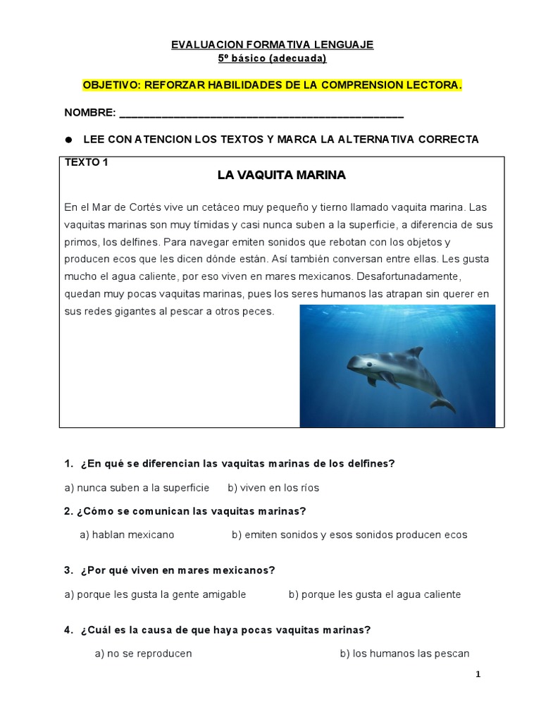 Comprension-lectora-Quinto-basico Adecuada | PDF | Panes | Universo