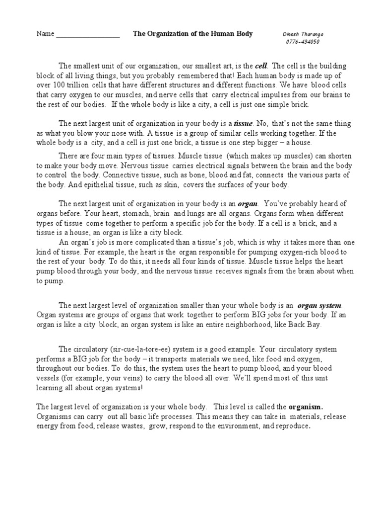 The Organization of the Human Body | PDF | Human Body | Tissue (Biology)