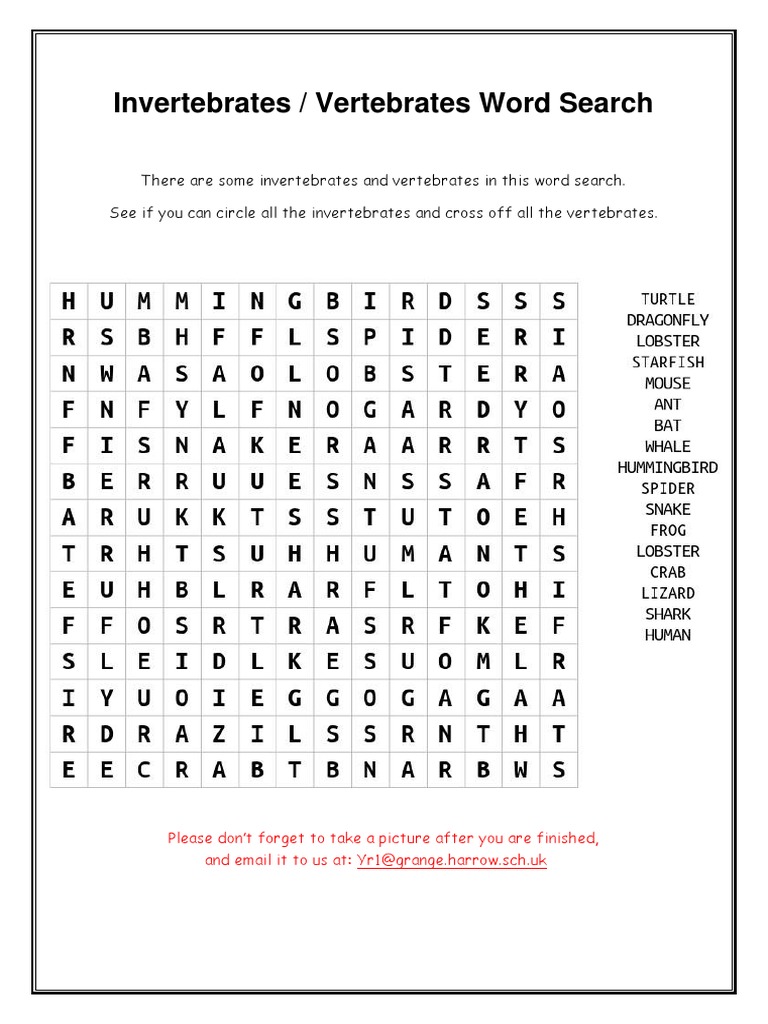Animal Classification Word Search | PDF