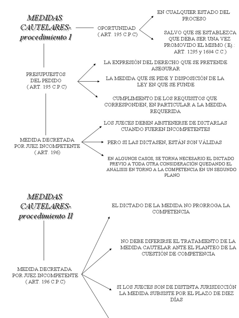 Medidas Cautelares: Procedimientos Clave | PDF | Mandato | Gobierno
