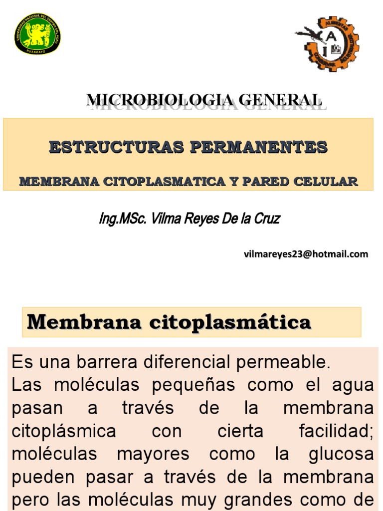 Membrana Citoplasmatica y Pared Celular | PDF | Membrana celular ...