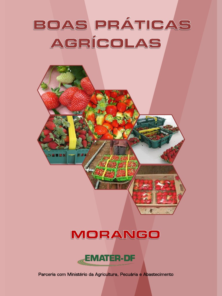 Cartilha BPA Morango | PDF | Desperdício | Tanque séptico