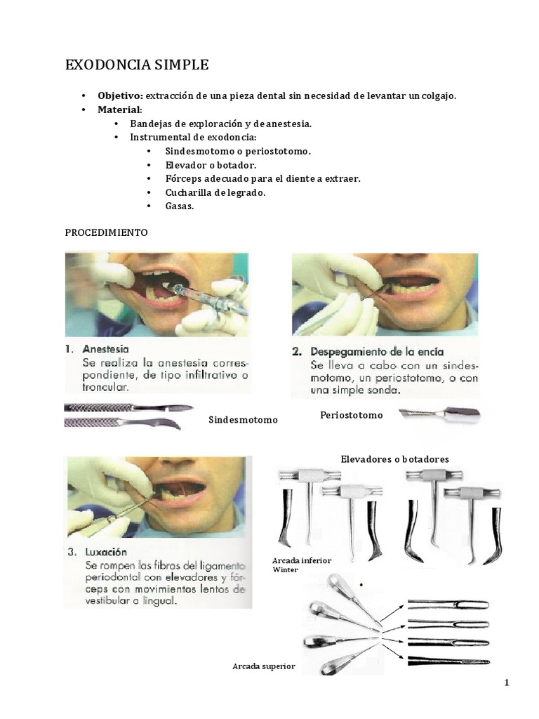 Microsoft Word - Exodoncia Simple | PDF