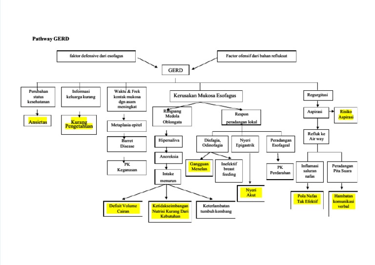 PDF Pathway Gerd Fix - Compress | PDF