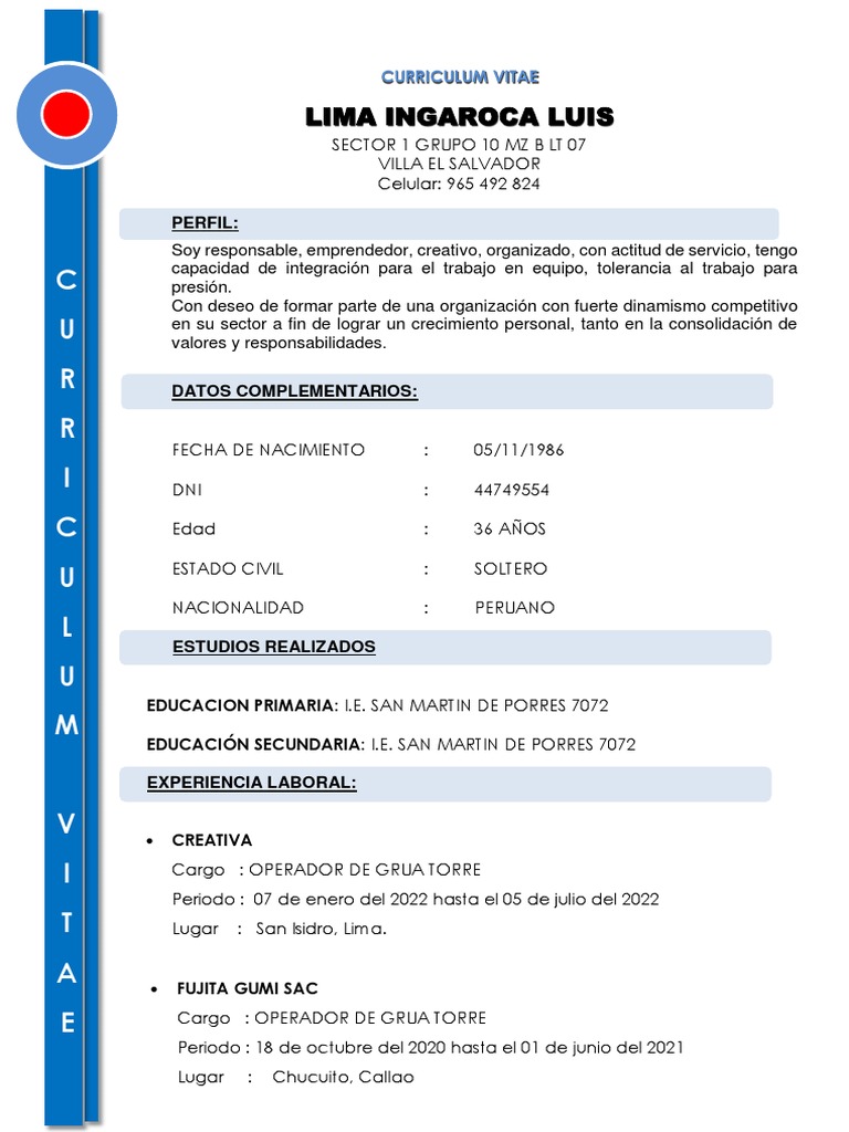 CV Luis | PDF