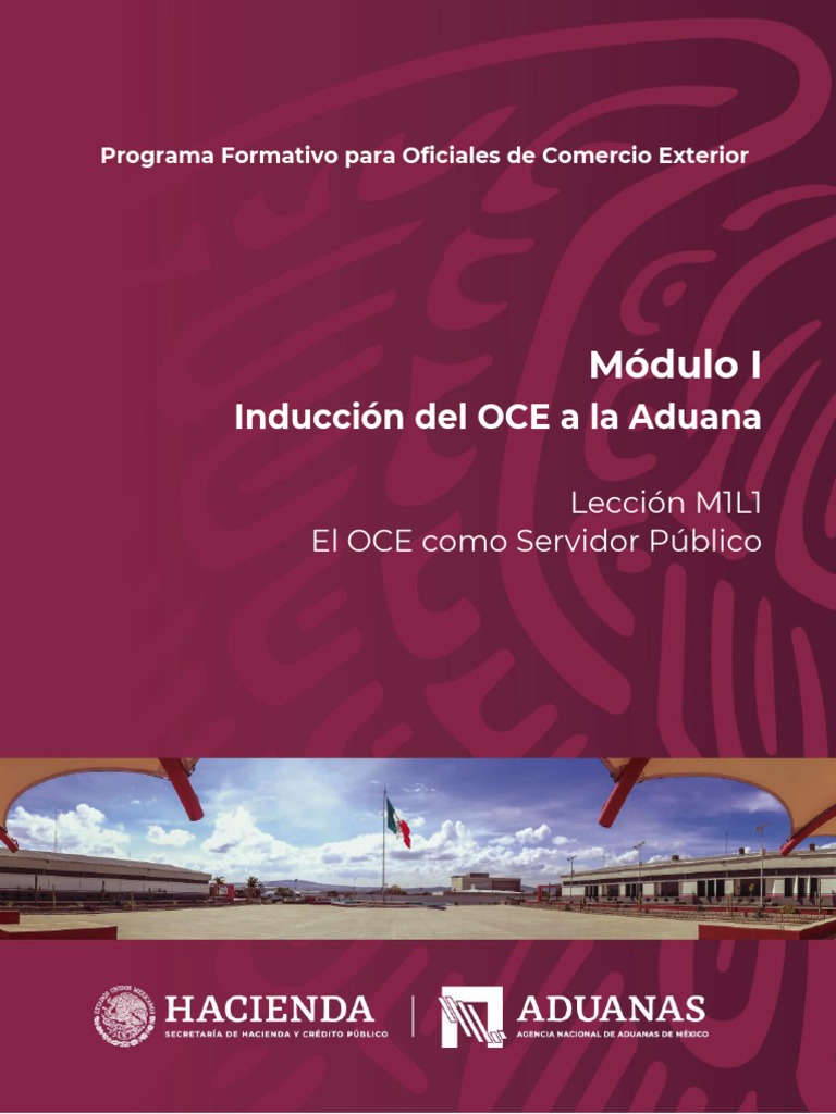 M1L1 Lección - El OCE Como Serv Pub - REV | PDF | Administración Pública | Estado (política)