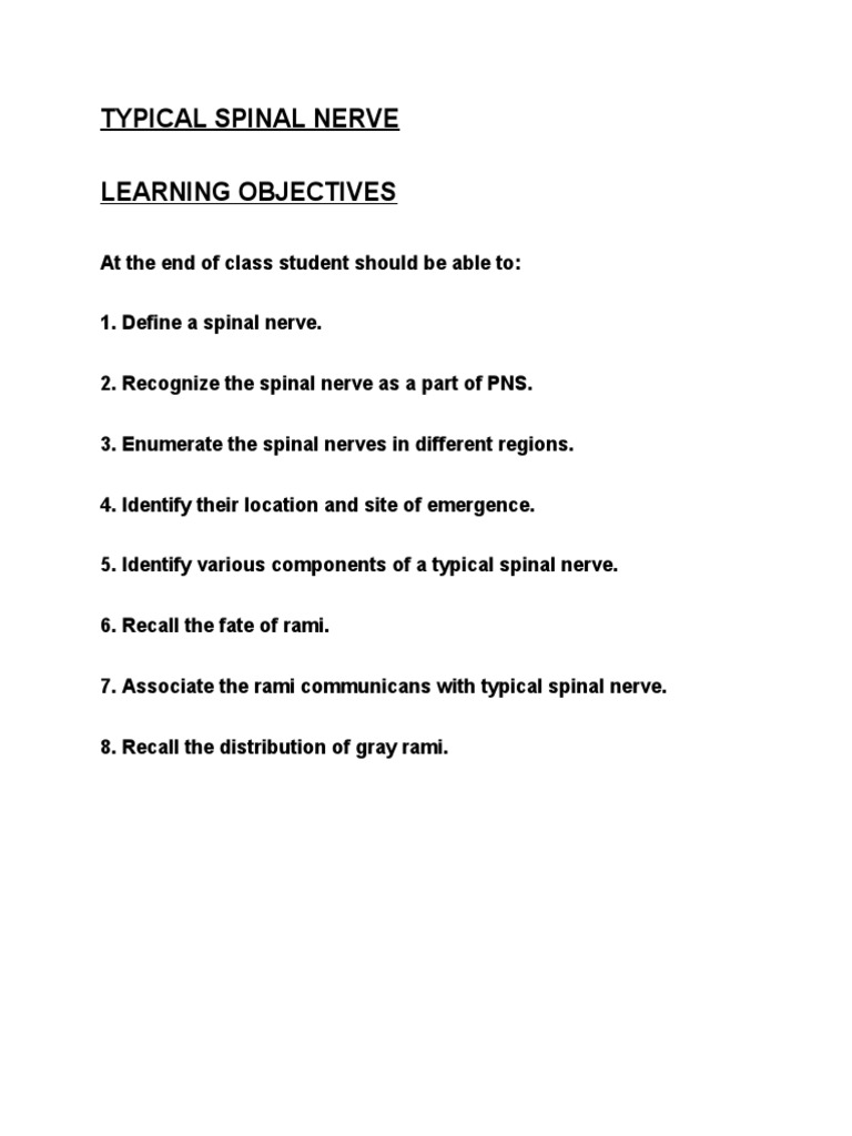 Typical Spinal Nerve Structure and Components | PDF | Vertebral Column ...