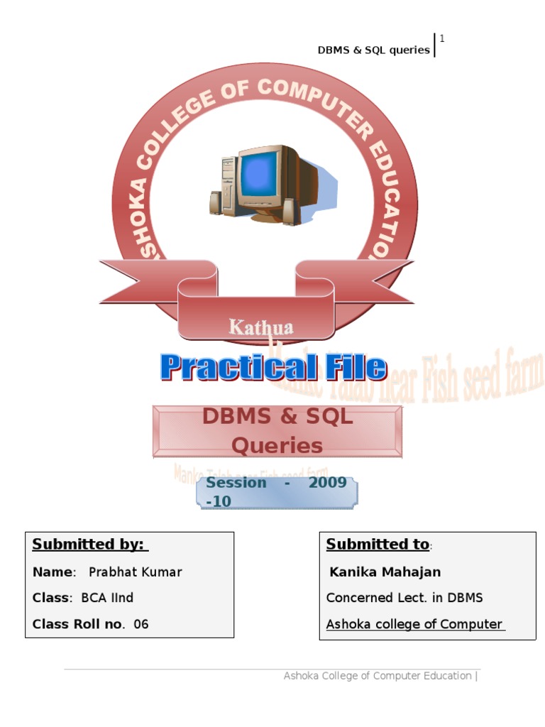 Practical File SQL Queries DBMS | PDF | Databases | Relational Database