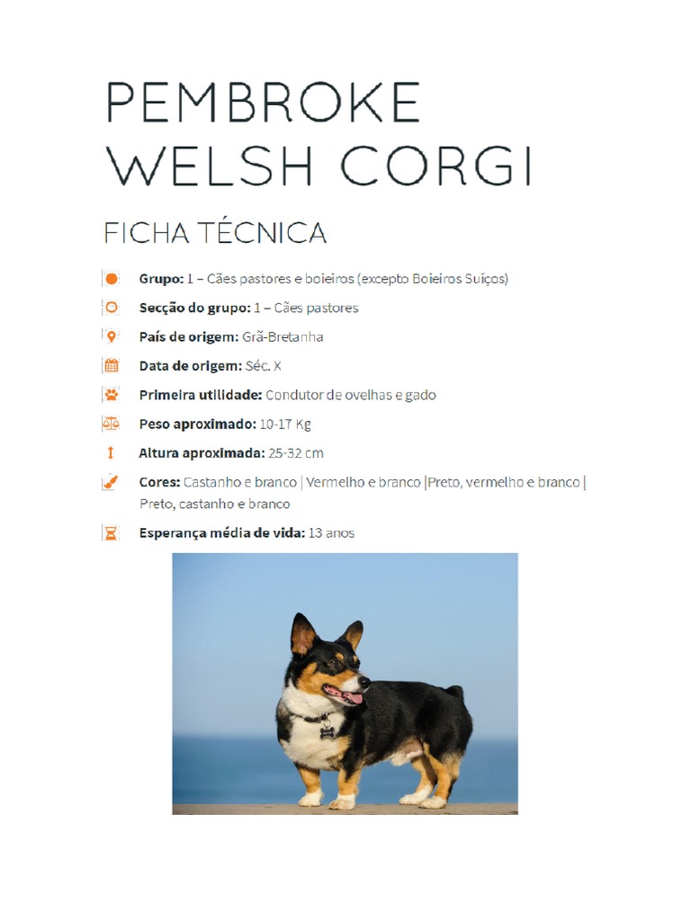 Pembroke Welsh Corgi Pdf Cães Vikings