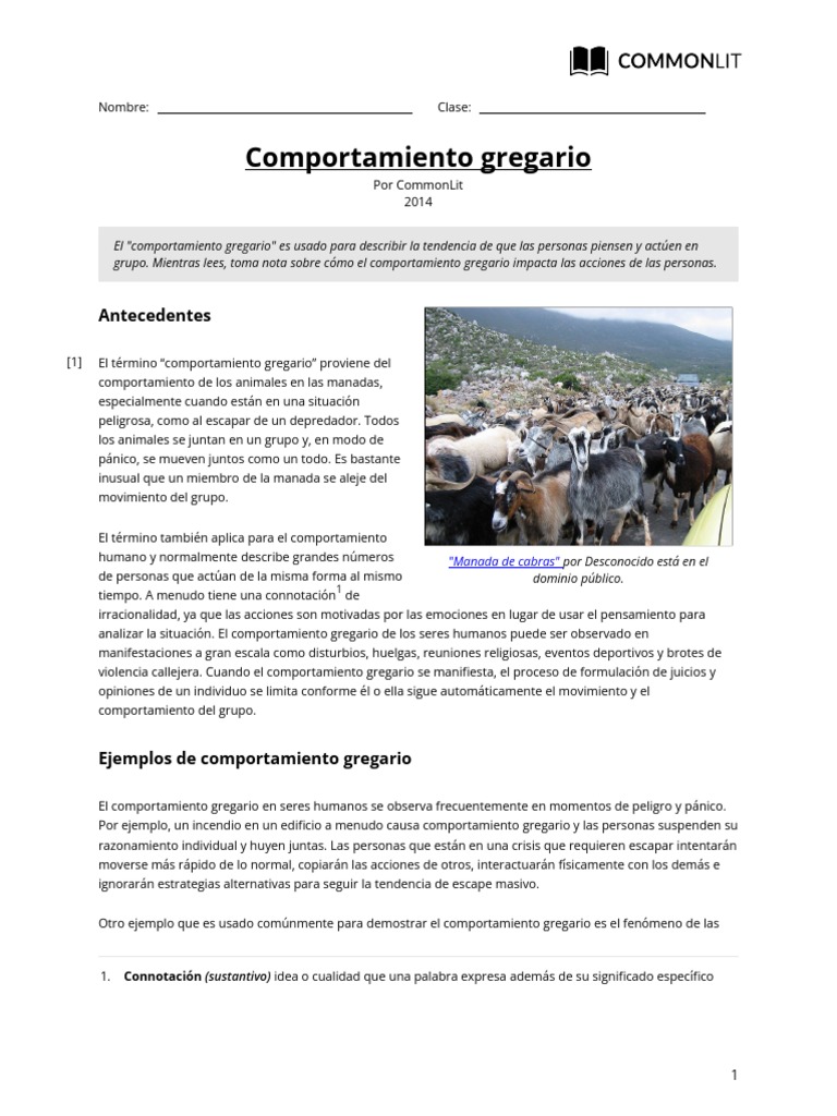 10o Comportamiento Gregario | PDF | Comportamiento | Violencia