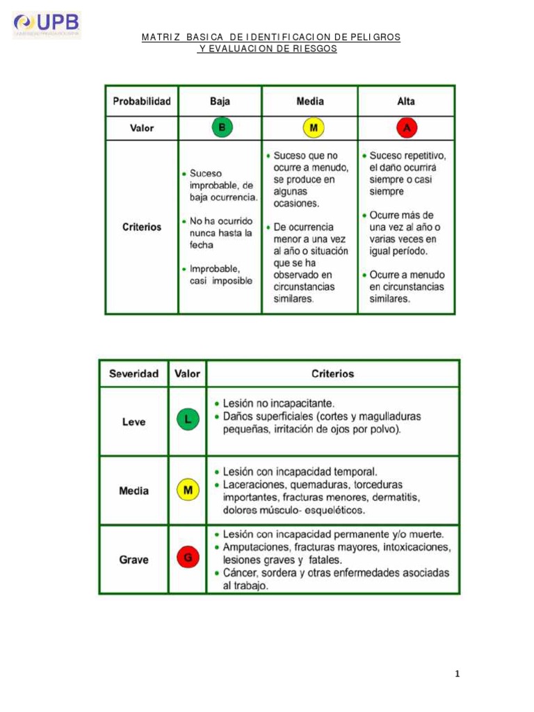 Matriz de Identificacion de Peligros y Evaluacion de Riesgos Basico | PDF
