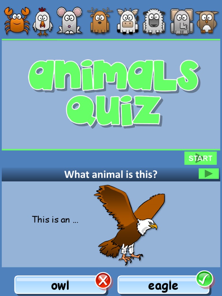 Animal Quiz PPT Fun Activities Games Games 54875 | PDF | Science ...