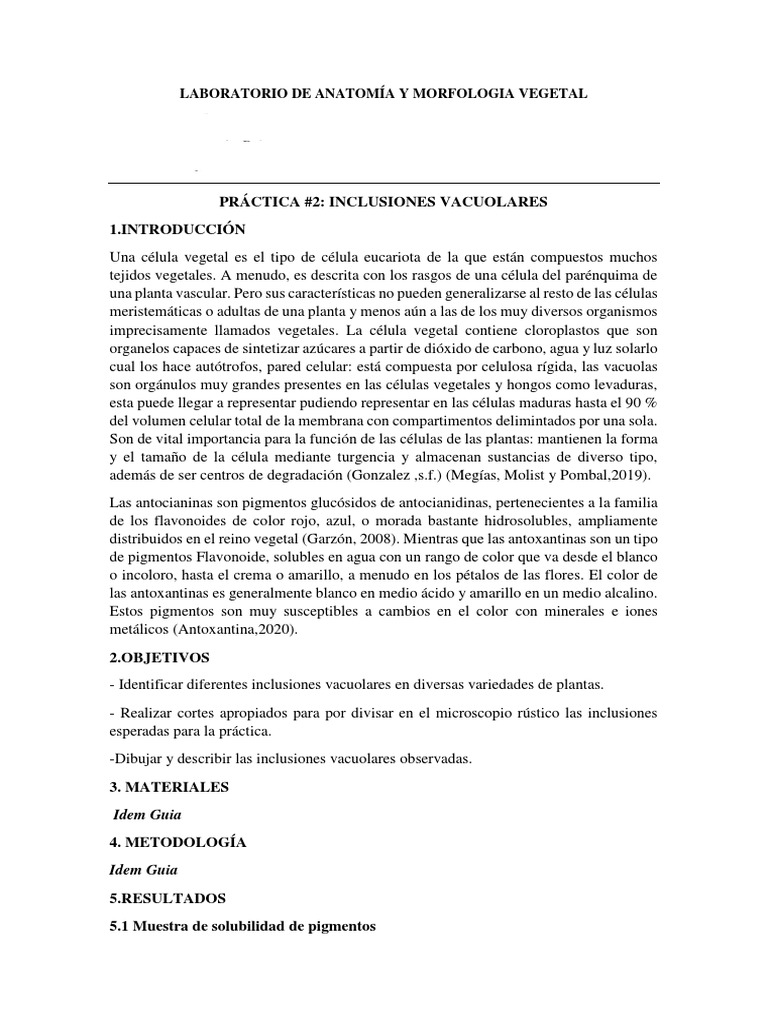 Inclusiones Vacuolares en Células Vegetales | PDF | Plantas | Biología ...