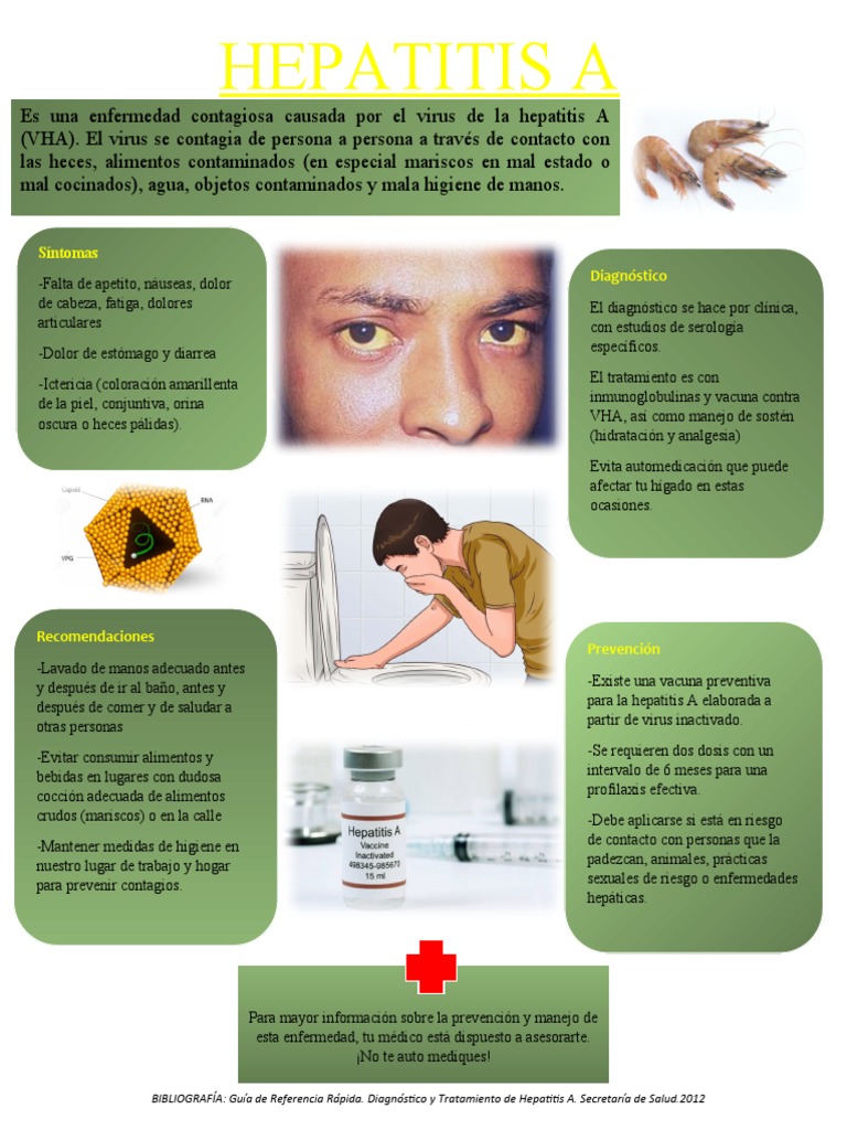 Flyer Hepatitis A | PDF | Hepatitis | Salud pública