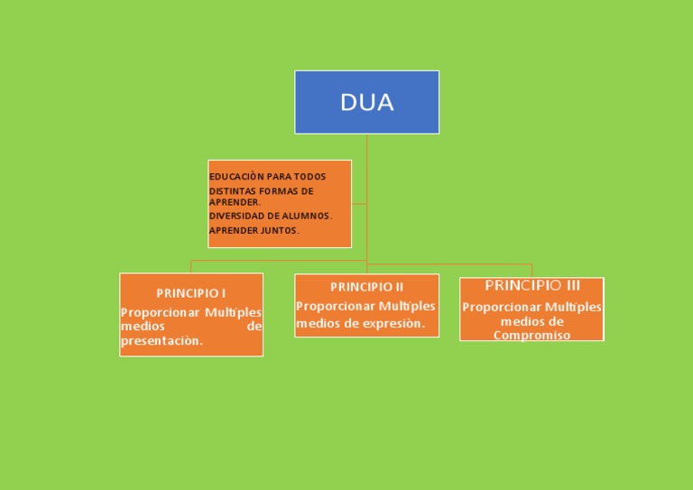Mapa Conceptual Dua (2) | PDF
