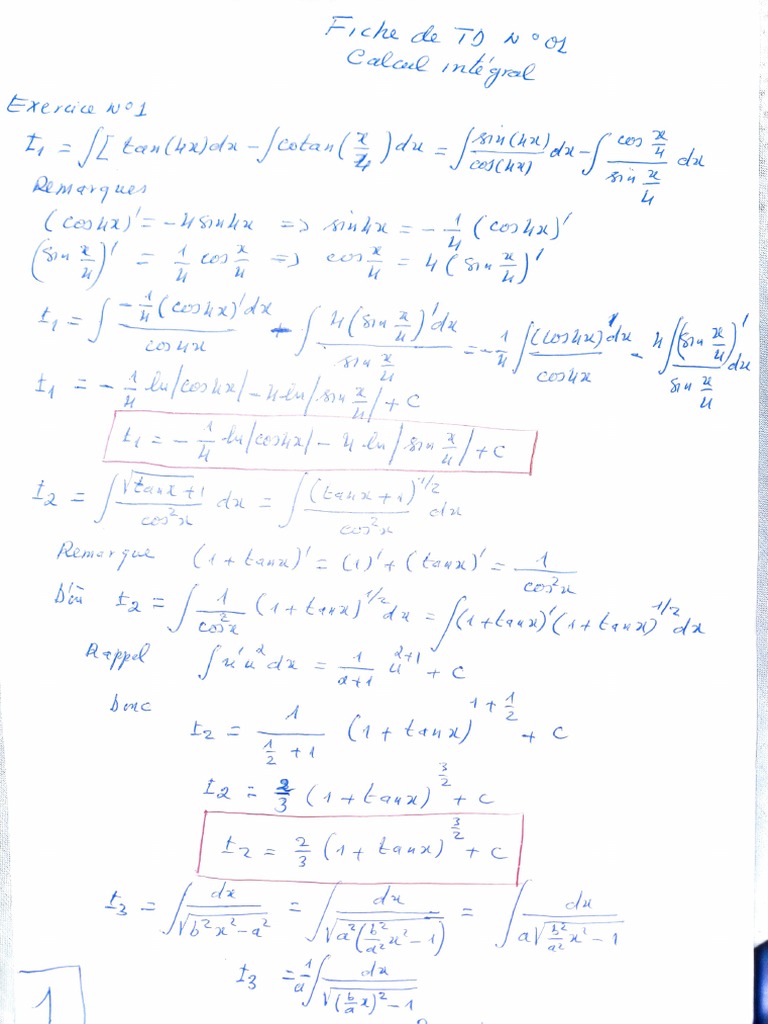 Corrigé TD de Calcul Intégral - 1 | PDF