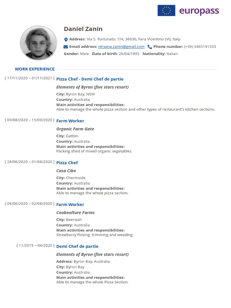 Curriculum Daniel Zanin CV 2022 | PDF | Pizza | Dough
