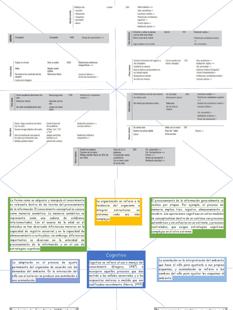 MAPAS Daisy Marroquin Garcia | PDF | Memoria | Información