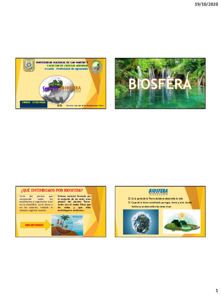 Cap VIII Biosfera | PDF | Tierra | Agua