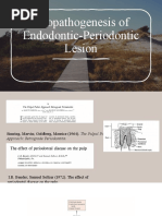Using - Dentition To Age Cattle | PDF | Tooth | Dentistry