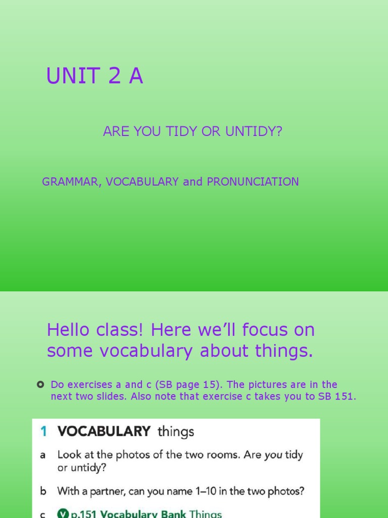 UNIT 2 A GRAMMAR VOCABULARY and PRONUNCIATION | PDF