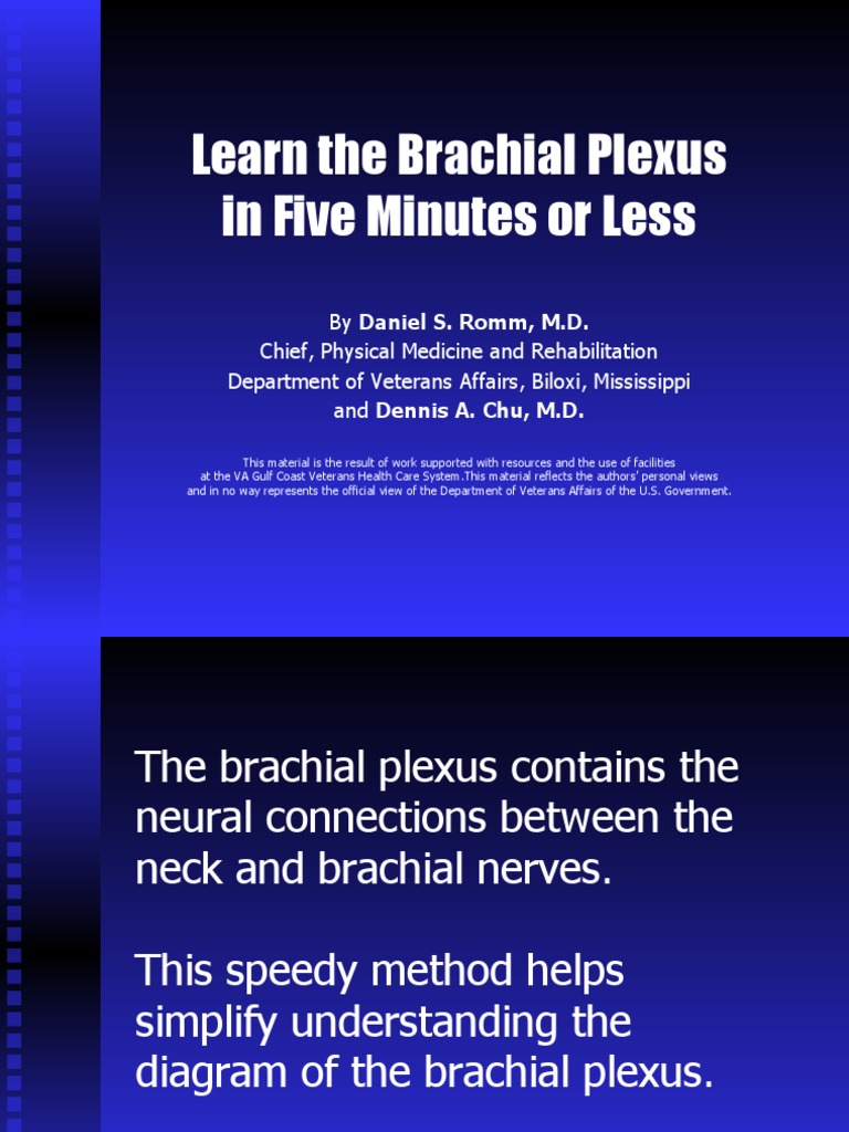 Brachial Plex Easy Diagram | PDF