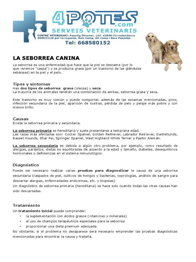 Seborrea Canina: Tipos, Causas y Tratamiento | PDF