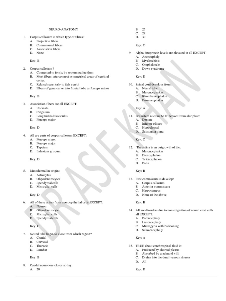 Neuroanatomy Mcqs By Dr Asif Khan Pdf Cerebellum Corpus Callosum