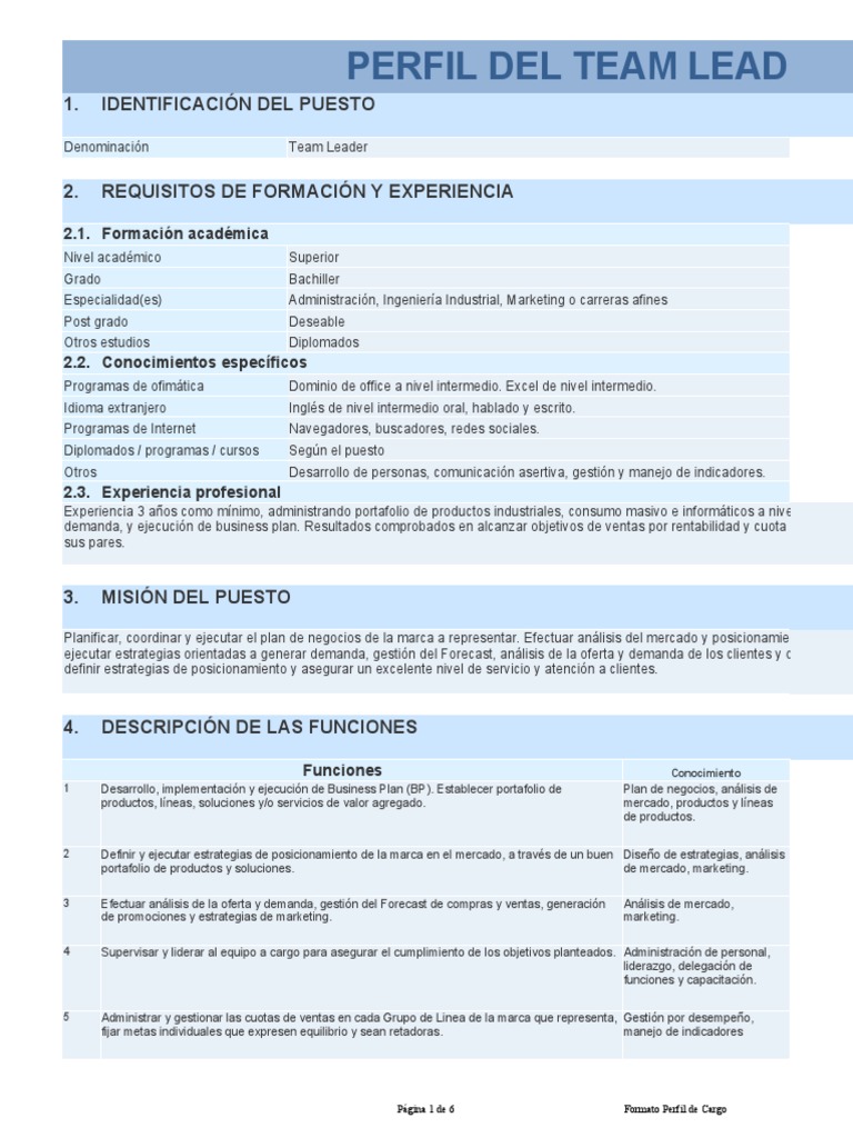 PERFIL DE PUESTO - TEAM LEADER | PDF | Marketing | Planificación