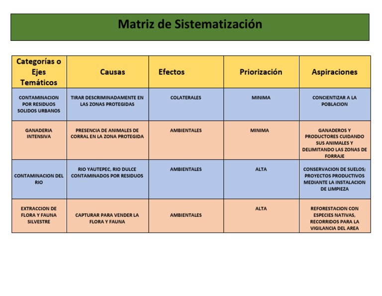 Matriz de Sistematizacion | PDF