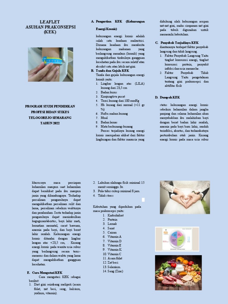 Leaflet Asuhan Prakonsepsi (KEK) . | PDF