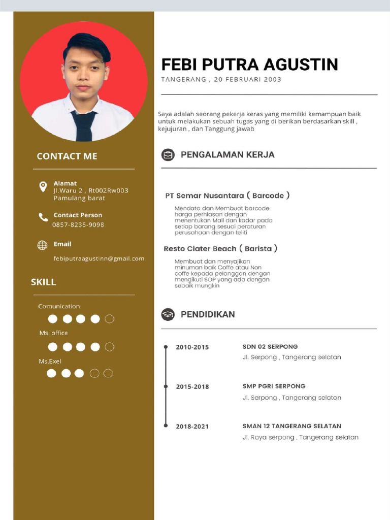 CV Febi Putra Agustin 2022 | PDF