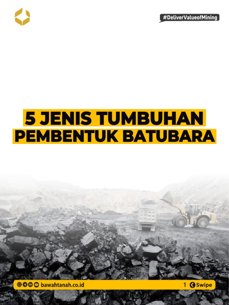 Tumbuhan Pembentuk Batubara | PDF