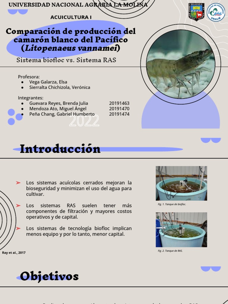 Paración Biofloc Vs RAS | PDF | Sustancias químicas | Elementos químicos