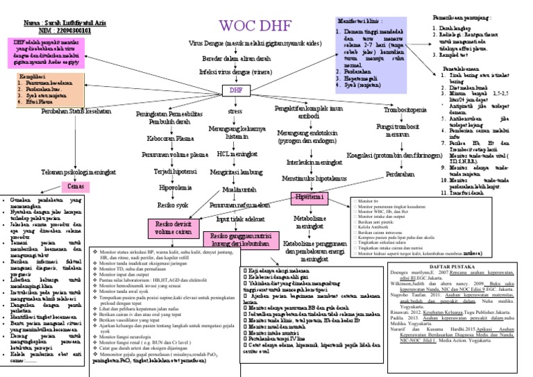 Woc DHF | PDF