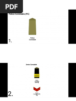 PNP New Rank Classification and Abbreviation | PDF