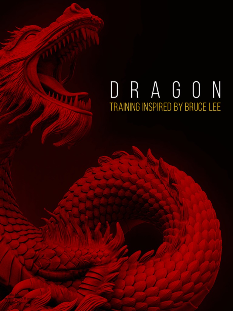 Dragon Bonus Workouts | PDF | Heart Rate | Physical Exercise