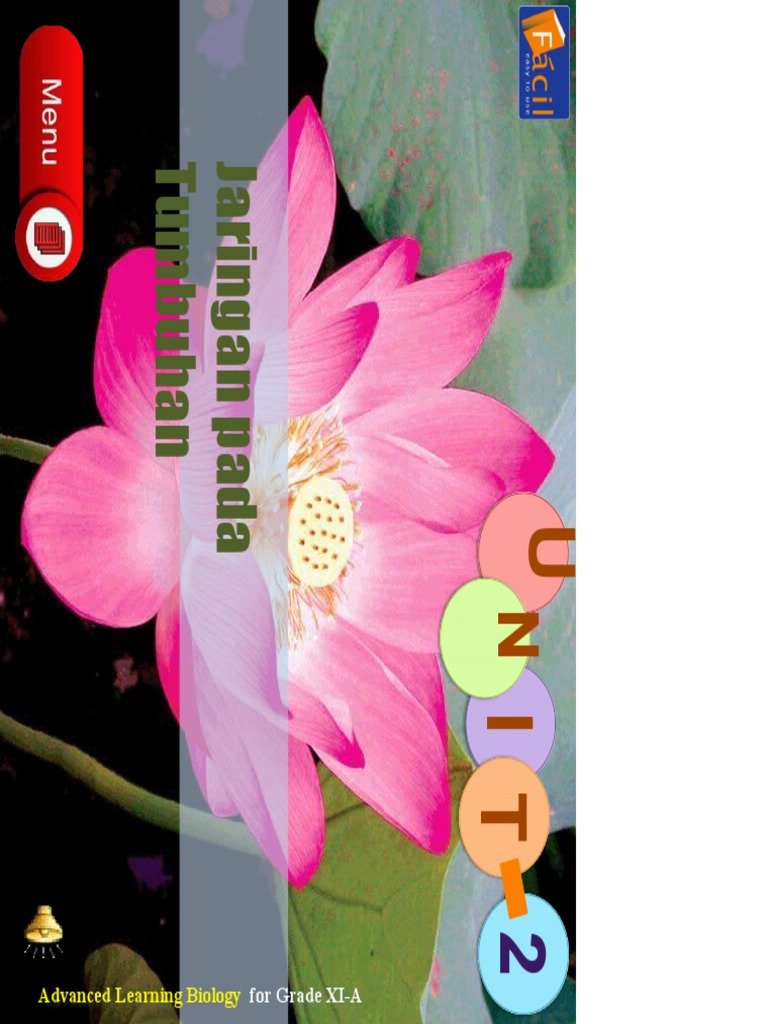 Biologi Bab 2 Jaringan Pada Tumbuhan - 4-8-2021 | PDF