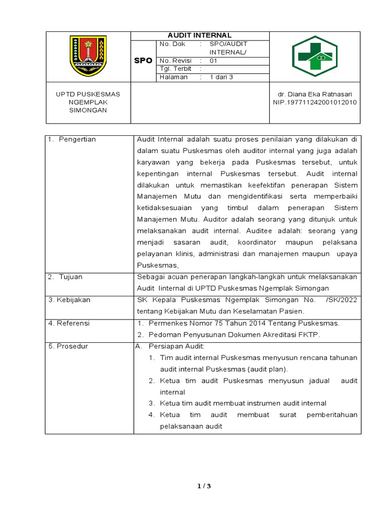 Spo Audit Internal | PDF