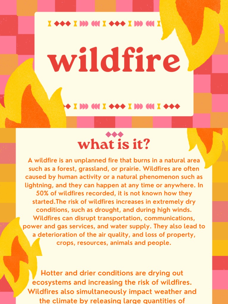 Presentacion de Wildfire Ingles | PDF