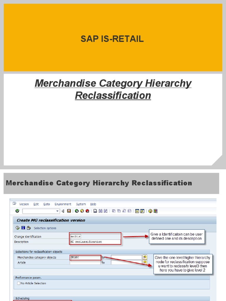 Merchandise Category Hierarchy Reclassification | PDF
