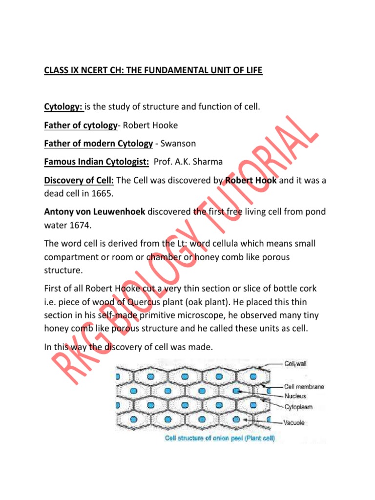 Class IX NCERT: Cell Structure & Function | PDF | Meiosis | Osmosis