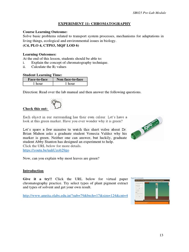 2021 Expt 11 Pre Lab - Chromatography | PDF | Photosynthesis | Biology